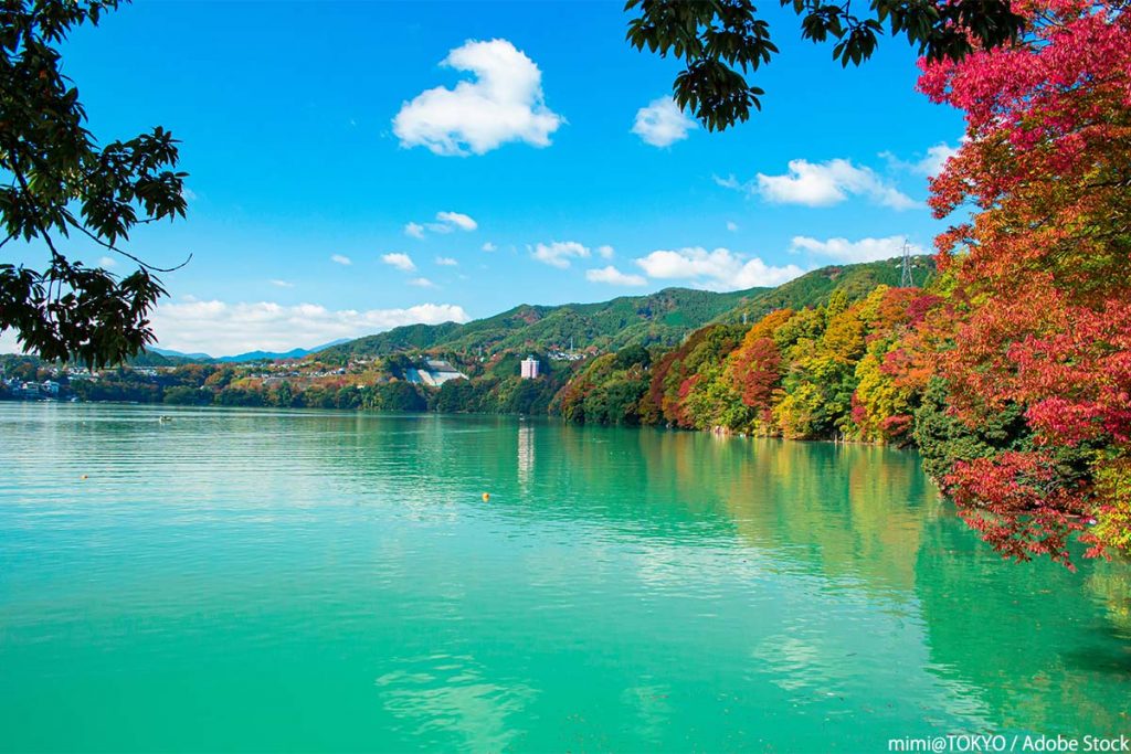 神奈川の自然を感じる観光地30選！絶景から名所までご紹介