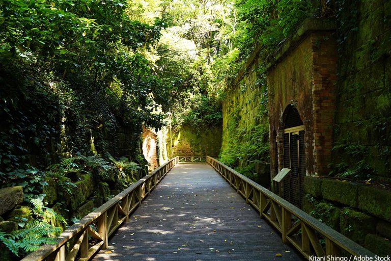 神奈川の自然を感じる観光地30選！絶景から名所までご紹介