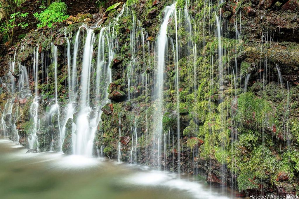 神奈川の自然を感じる観光地30選！絶景から名所までご紹介