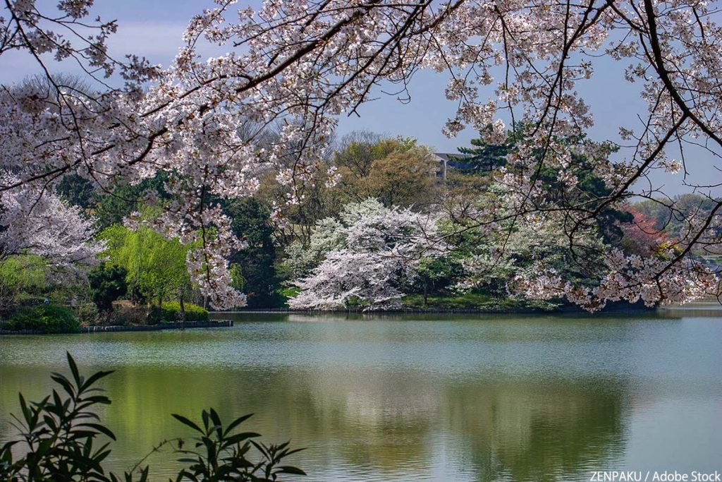 神奈川の自然を感じる観光地30選！絶景から名所までご紹介