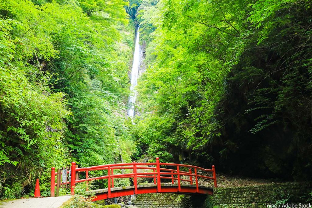 神奈川の自然を感じる観光地30選！絶景から名所までご紹介